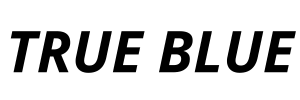 True Blue Official Website - Premium Air Filters